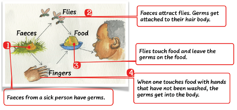 Waterborne Diseases - Opiq